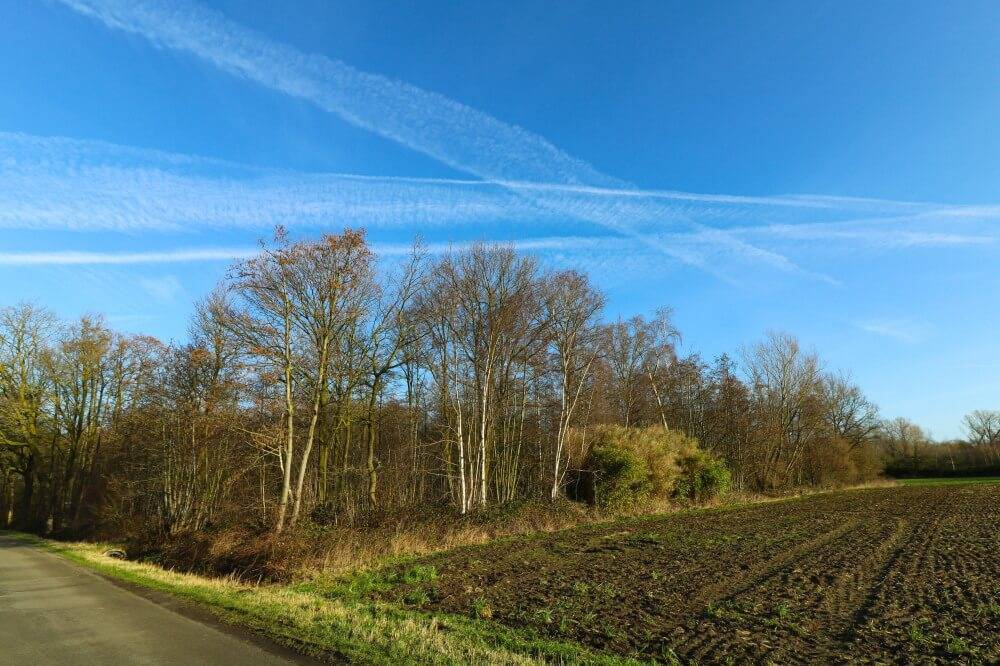 Bosgrond.nl - Maasbree, Limburg
