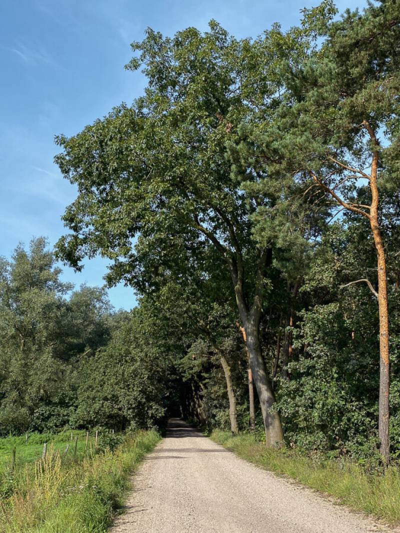 Bosgrond.nl - Maasbree, Limburg