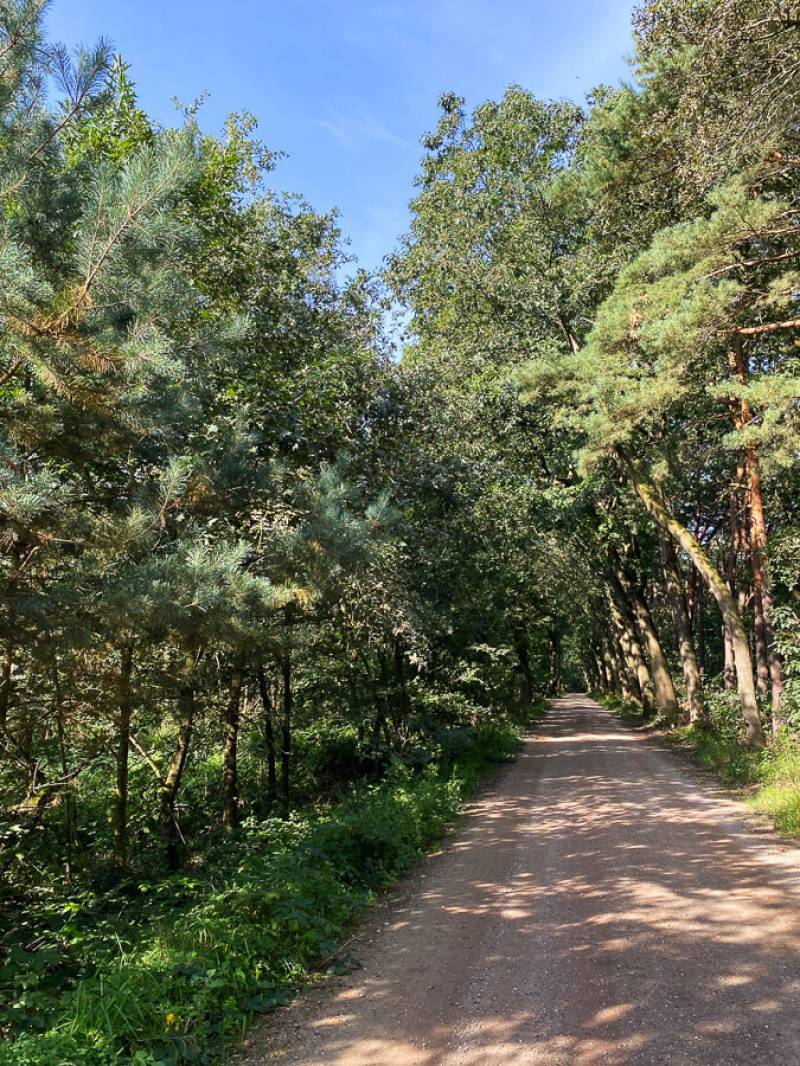 Bosgrond.nl - Maasbree, Limburg