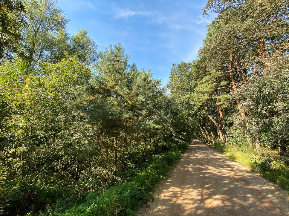 Bosgrond.nl - Maasbree, Limburg